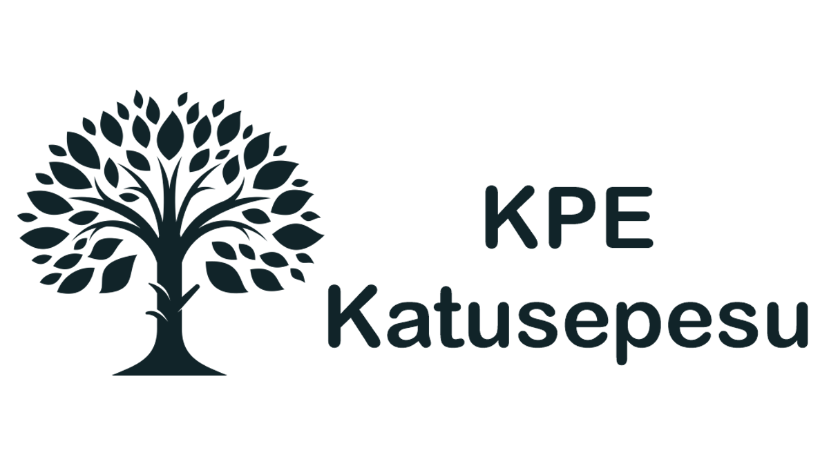 KPE Katusepesu | 16 aastat kogemust